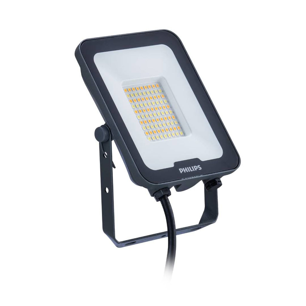 Philips Ledinaire Gen3 30W IP65 Floodlight Black, Colour Selectable ...