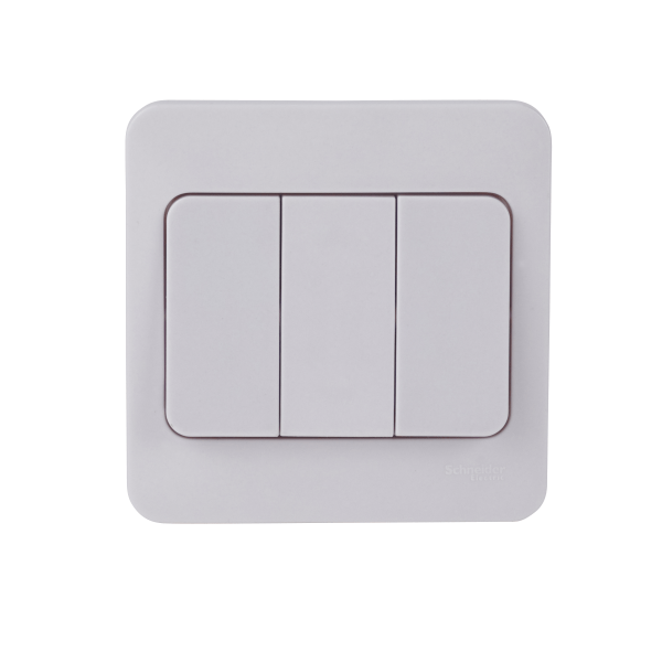 Schneider LWM 10AX 3G 2W Wide Rocker Switch White - GGBL1032W ...